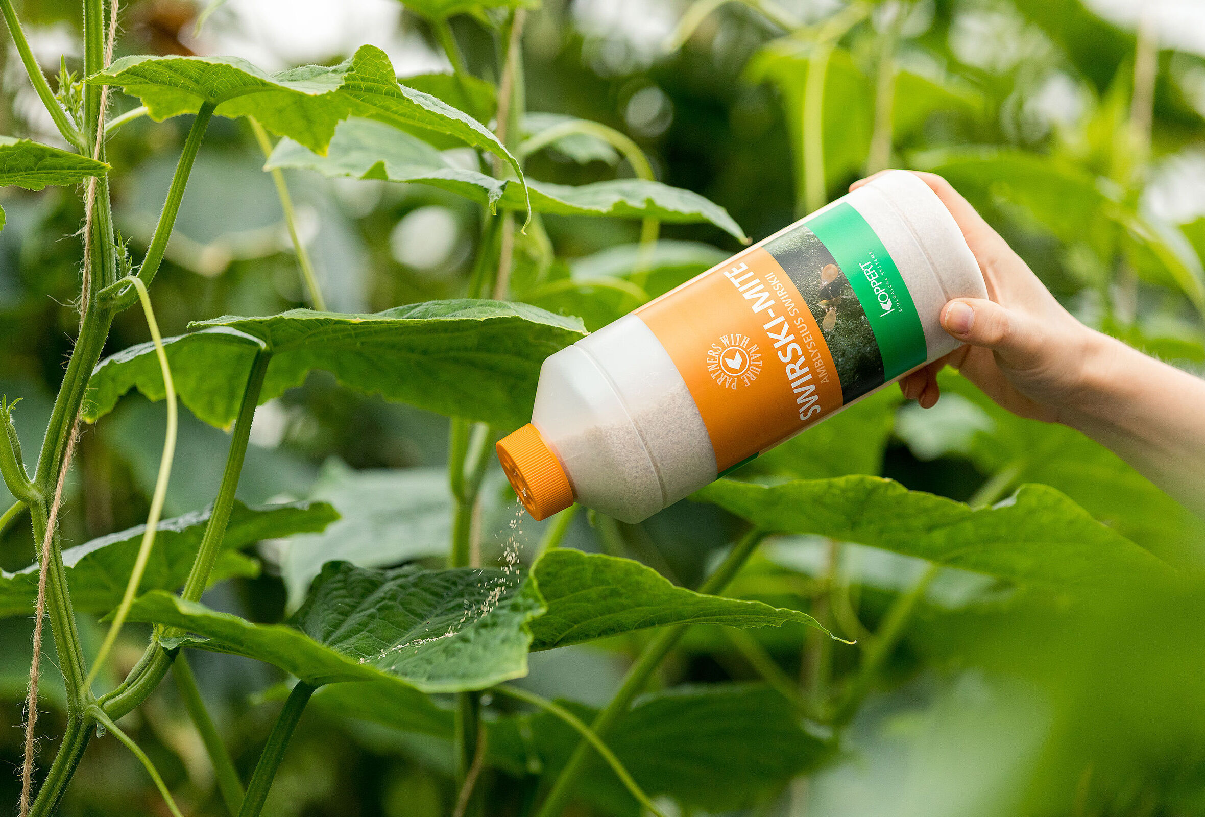 Koppert Qualitätskette für beste Ware | Koppert Deutschland